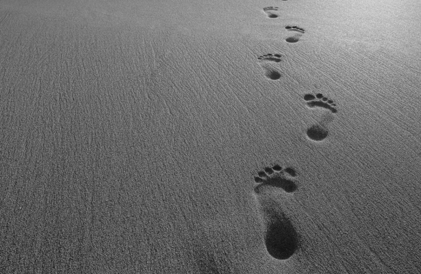 Leading third-party administrator empowers teams with move to Elixir